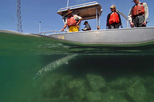Great Lakes Fishery Commission - Water Quality